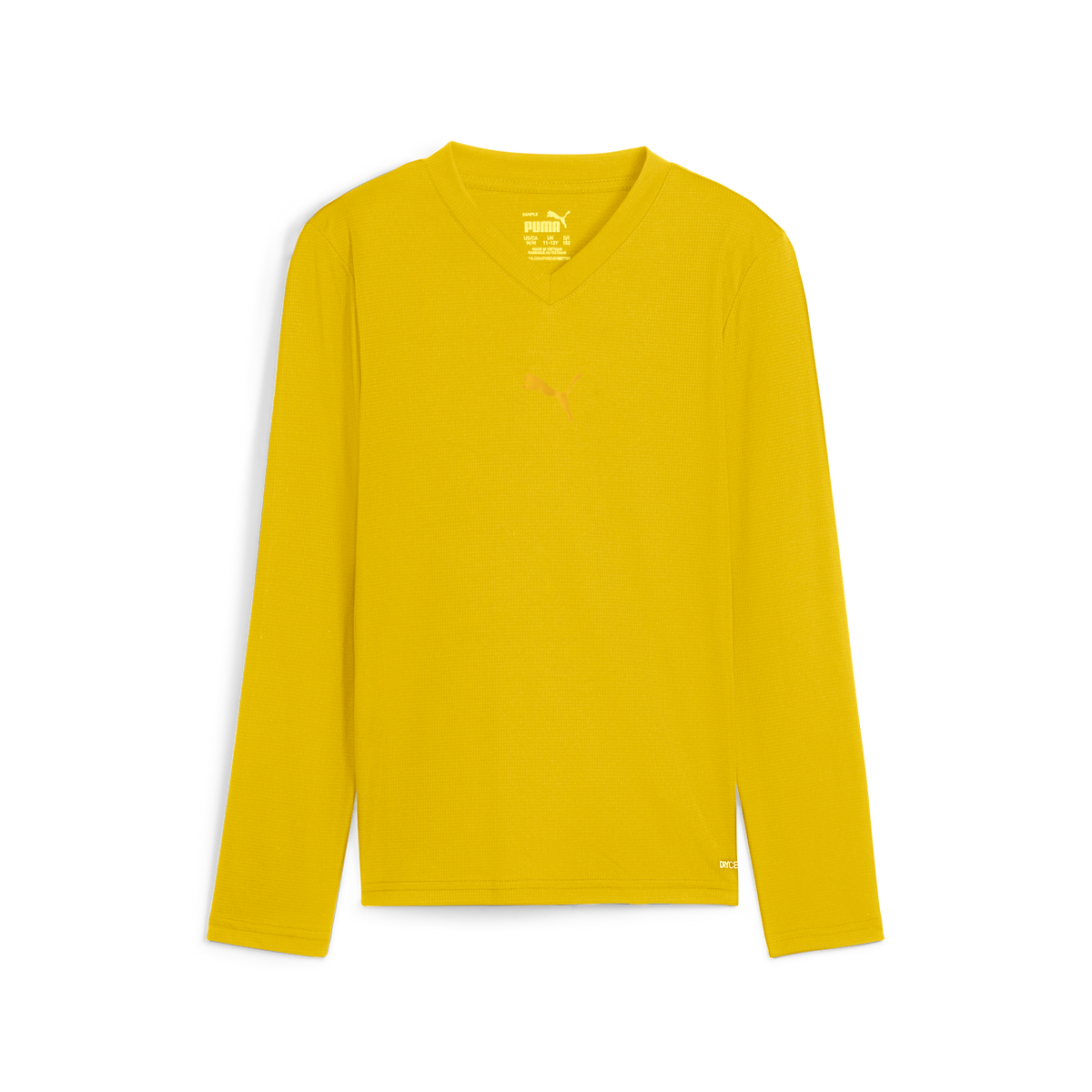 Puma Team GOAL 25 Long Sleeve Baselayer – KitKing