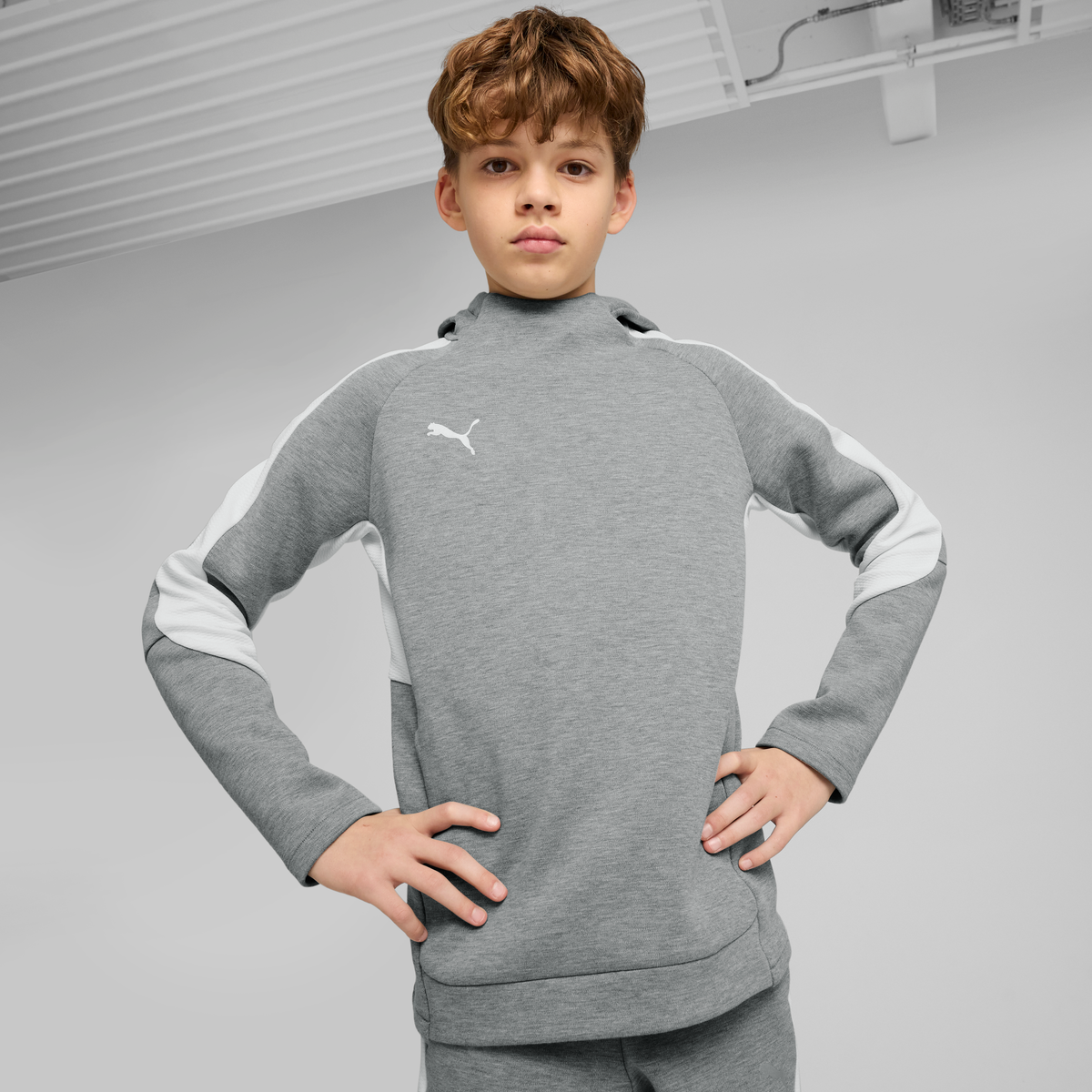 Puma Team EVOSTRIPE 25 Hoody – KitKing