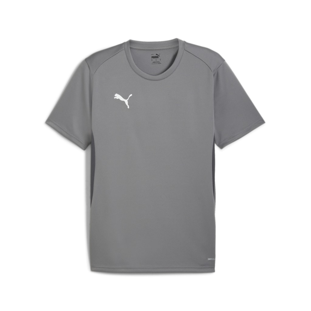 Puma Team Goal Short Sleeve Shirt – KitKing