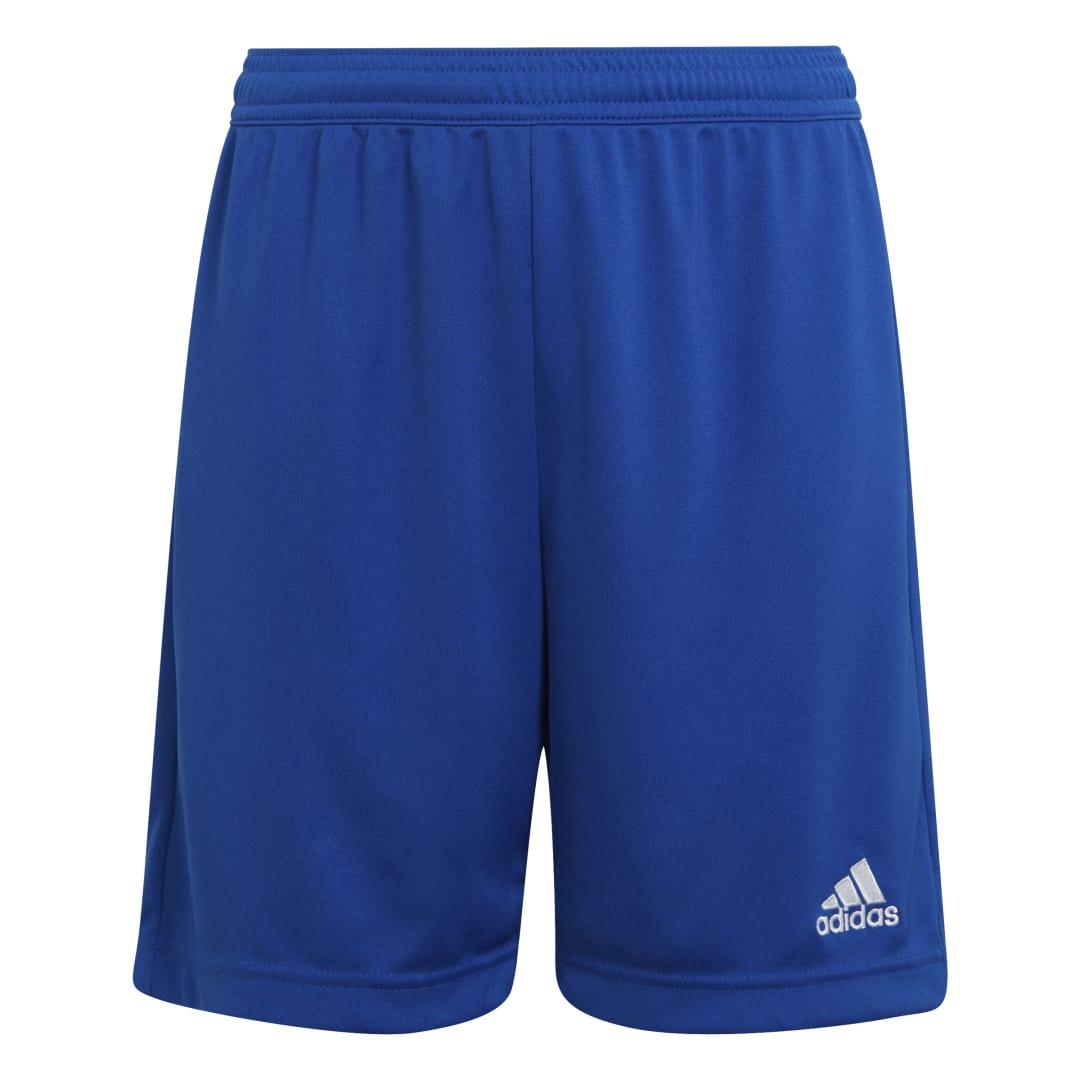 Adidas Entrada 22 Shorts – KitKing