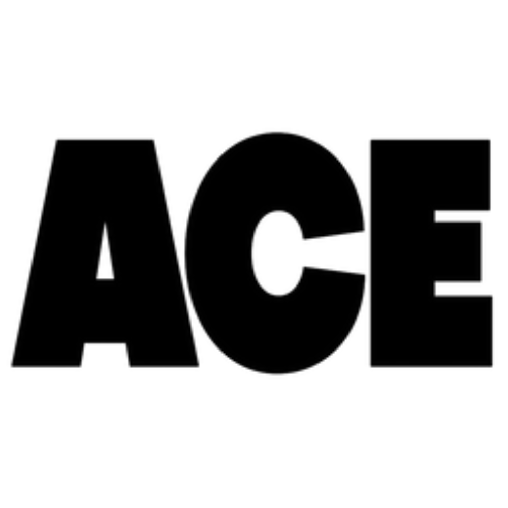 ACE Cricket Academy — KitKing