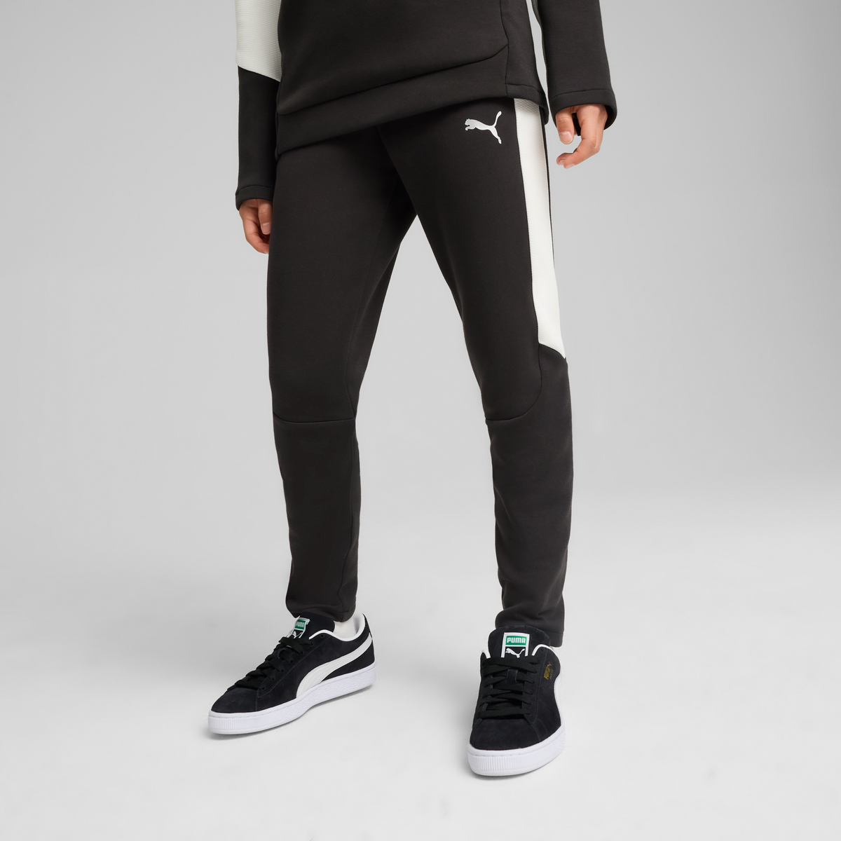 Puma Team EVOSTRIPE 25 Pants — KitKing