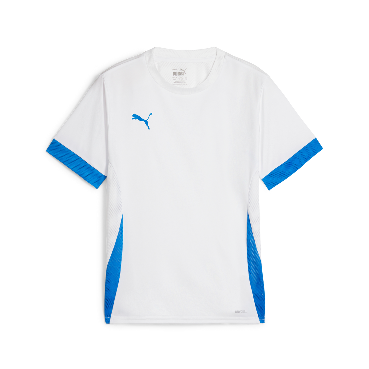 Puma Team GOAL 25 Matchday Jersey – KitKing