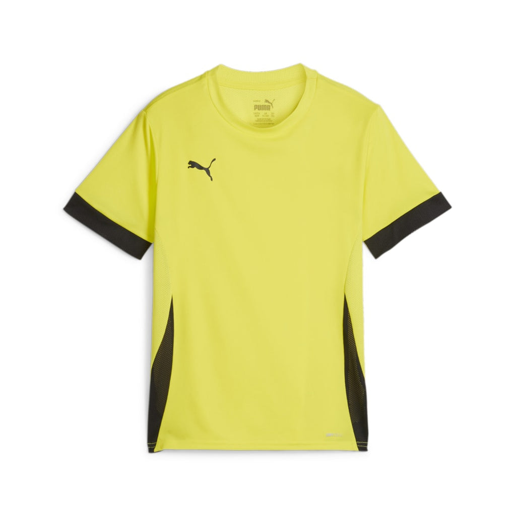 Puma Team Goal Matchday Short Sleeve Shirt — KitKing