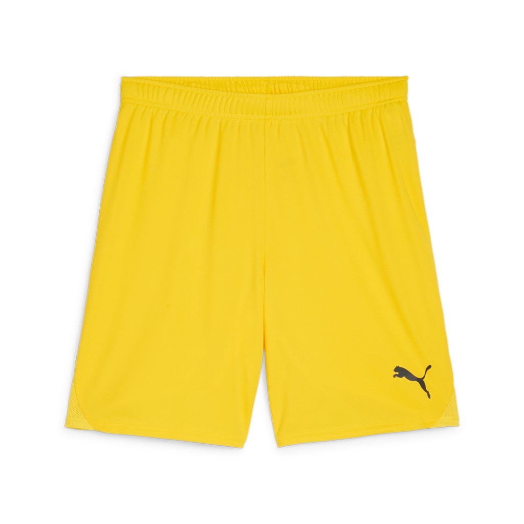 Puma Team Goal Shorts – KitKing
