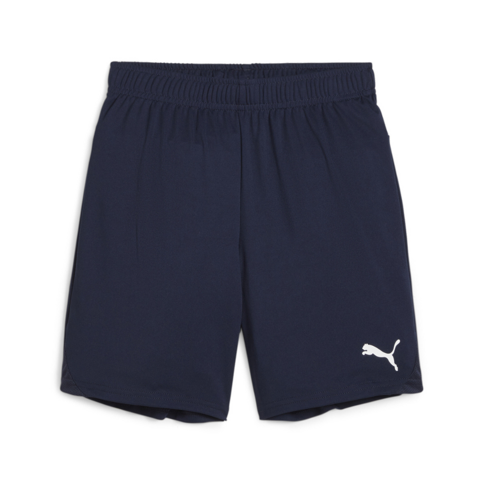Puma Team Goal Shorts — KitKing