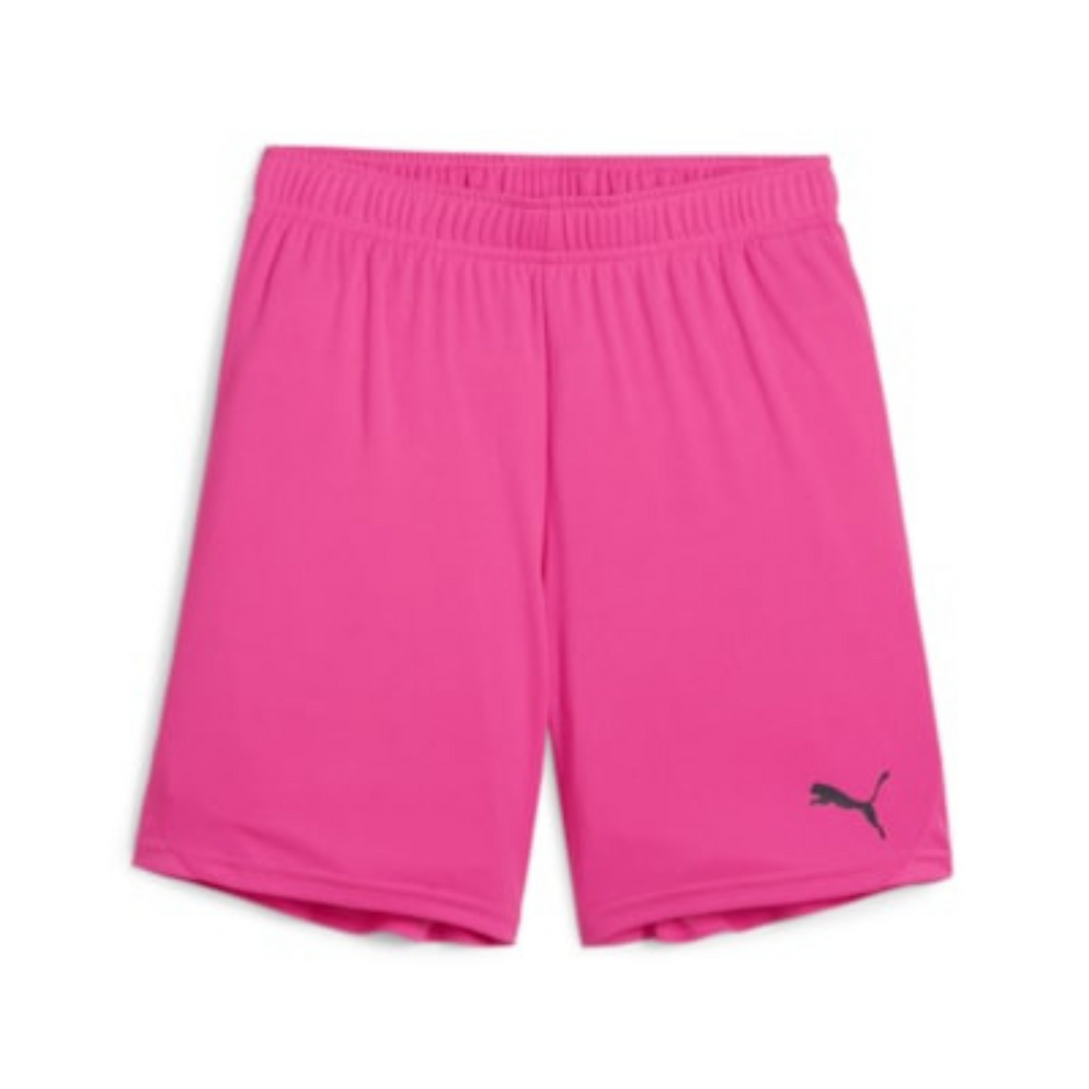 Puma Team Goal Shorts — KitKing