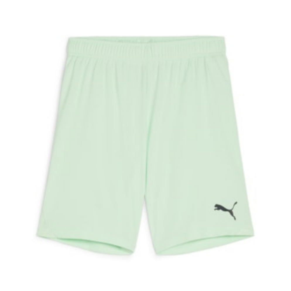 Puma Team Goal Shorts — KitKing