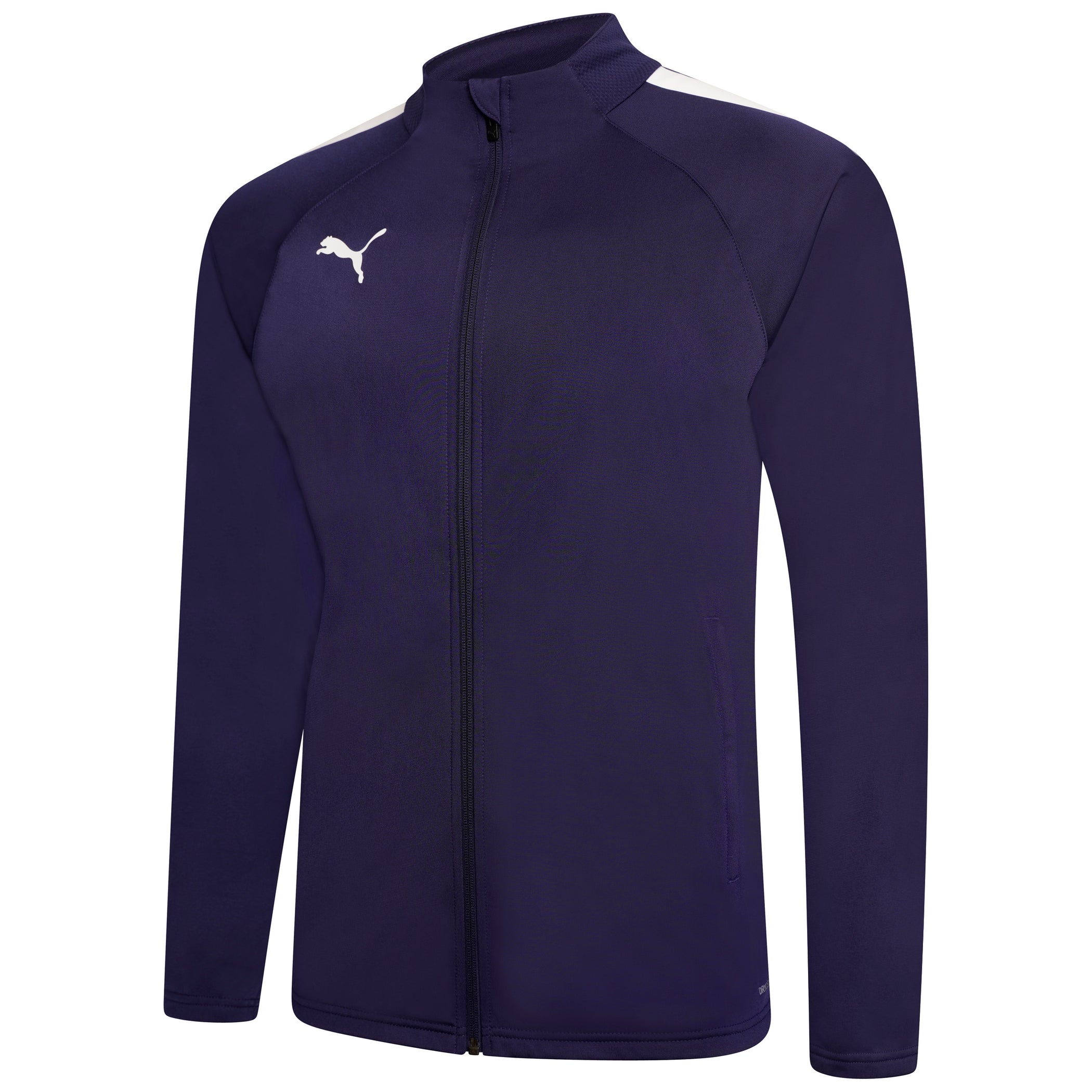 Puma Team Liga 25 Training Jacket — KitKing