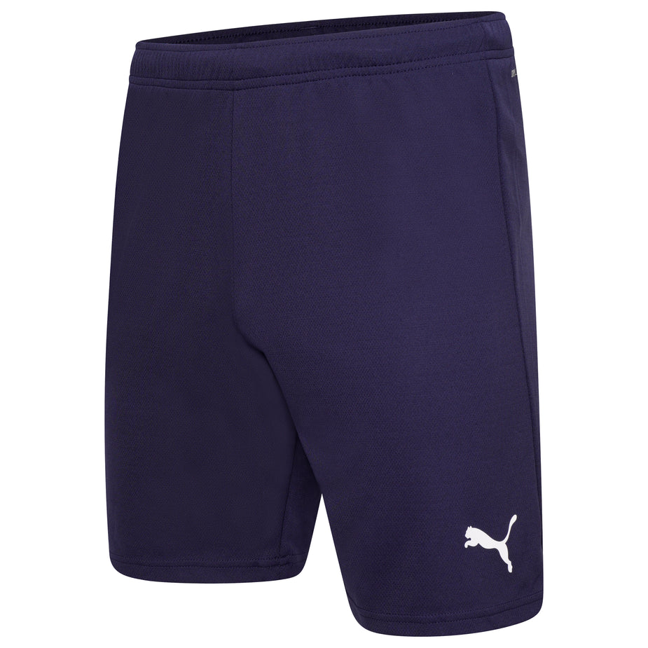 Puma Team Rise Shorts – KitKing