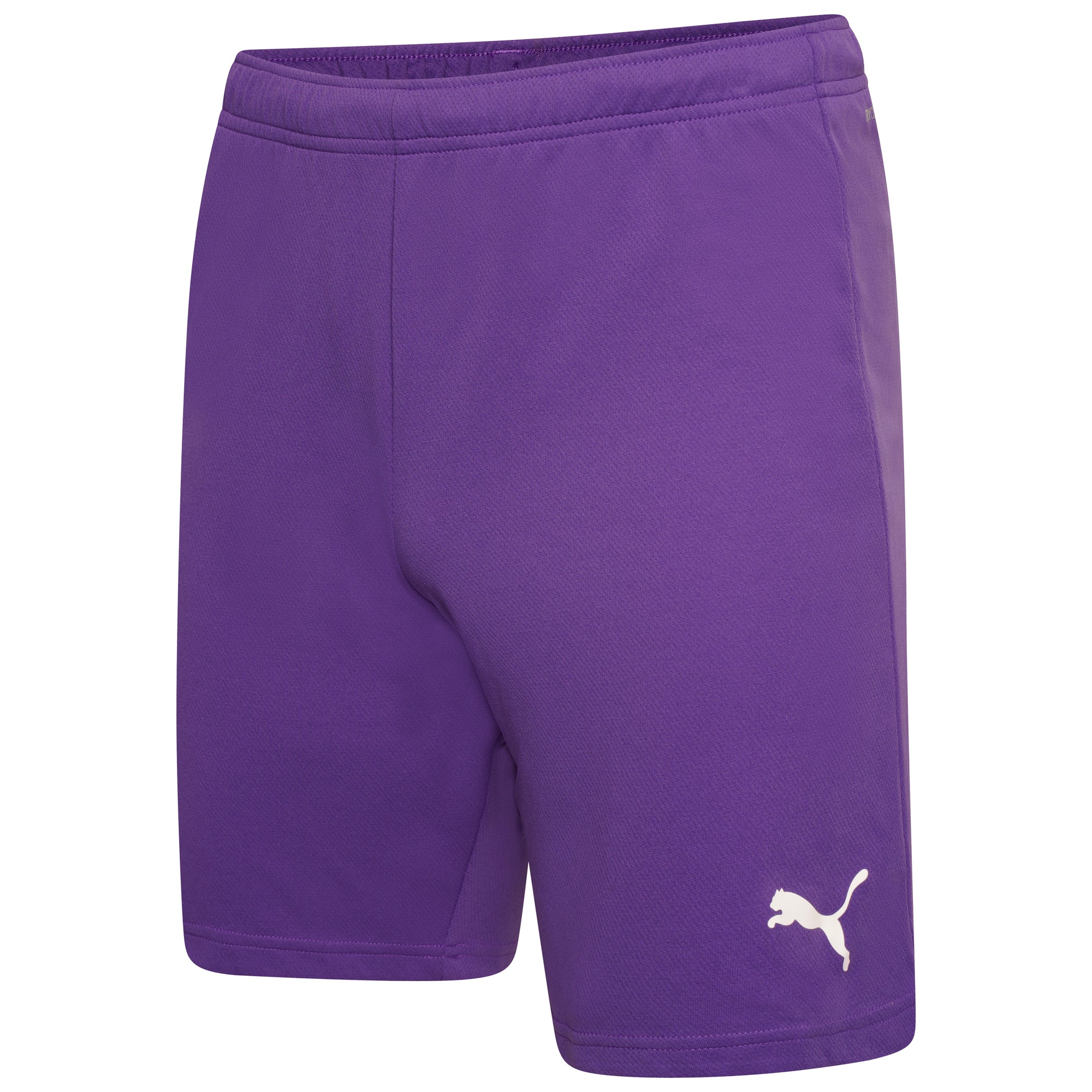 Puma Team Rise Shorts – KitKing
